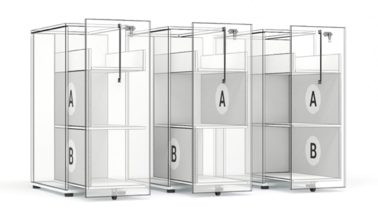 Narbutas Boxi - TILA